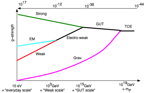 Cosmology Speculations